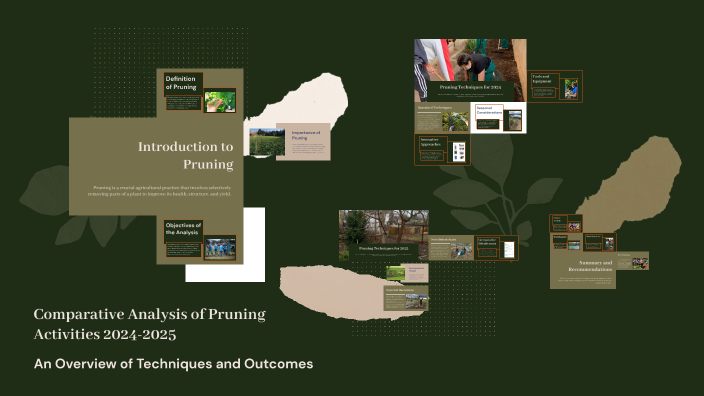 Comparative Analysis of Pruning Activities 2024-2025 by Andrés Reyes on ...