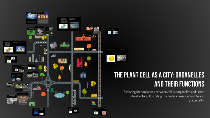 The Plant Cell as a City: Organelles and Their Functions by Jackson ...