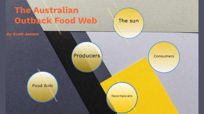 Australian Outback food web by Scott Janson on Prezi