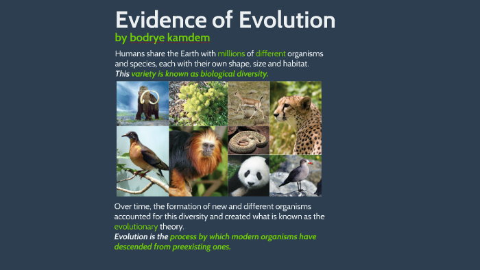 AP bio--evolution by Bodrye King