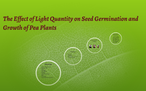 AP Biology Pea Plant Final Project by Joe Matthews on Prezi