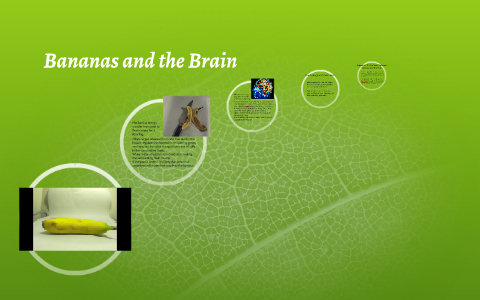 Bananas and the Brain by Taylor Colburn on Prezi