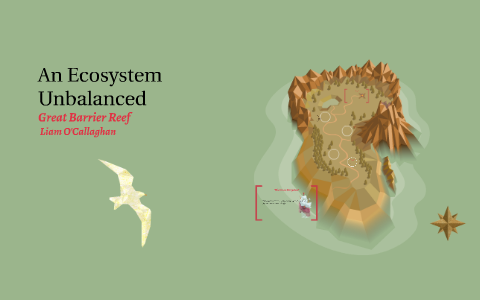 An Ecosystem Unbalanced by Liam O'Callaghan on Prezi