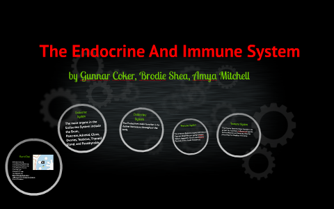 The Endocrine And Immune System by Amya Mitchell on Prezi