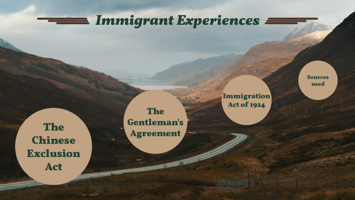 2023CallejoAparicioClaudiaUnitedStatesHistory5.04A Immigrant ...