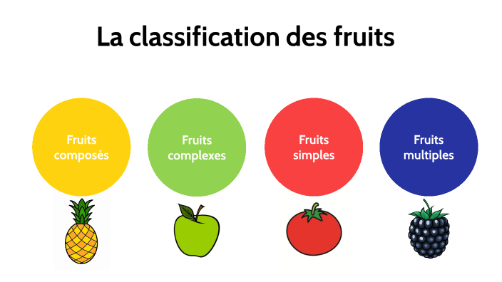 Les fruits et leur classification by Mélody Disma on Prezi