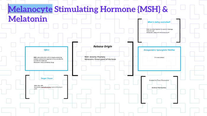 Melanocyte Stimulating Hormone {MSH} & Melatonin by Brandon Tolliver on ...
