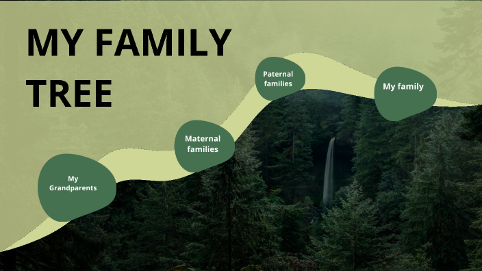 my family tree by adriana palacios patiño on Prezi
