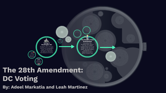 The 28th Amendment by Leah Martinez