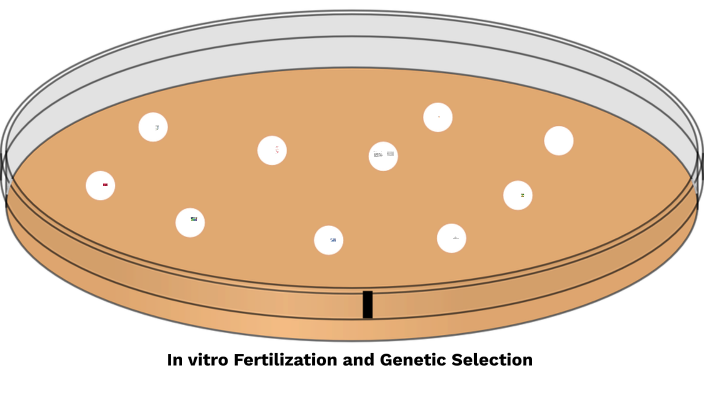 UnEssay Project by Cooper Schanne on Prezi