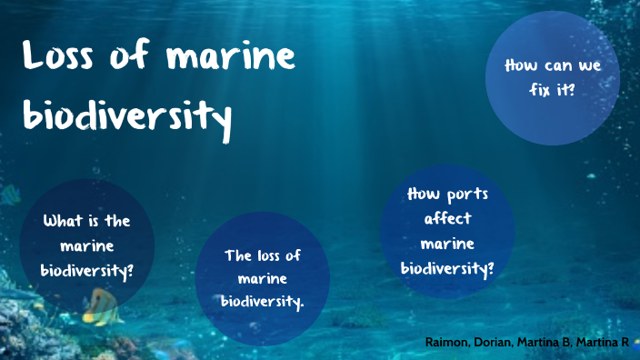 Loss of marine biodiversity by Raimon Prats Garc a on Prezi
