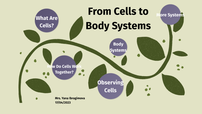 Science 5 Unit 3 Cells to Body Systems by Yana Ibragimova on Prezi