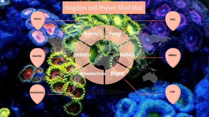 Kingdom and Phylum Mind Map by MT - 11MS 680270 Heart Lake SS on Prezi