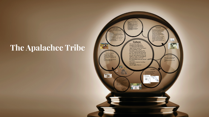 The Apalachee Tribe by Elise Carter on Prezi