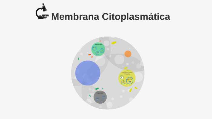 Membrana citoplasmatica by Juan Perez on Prezi