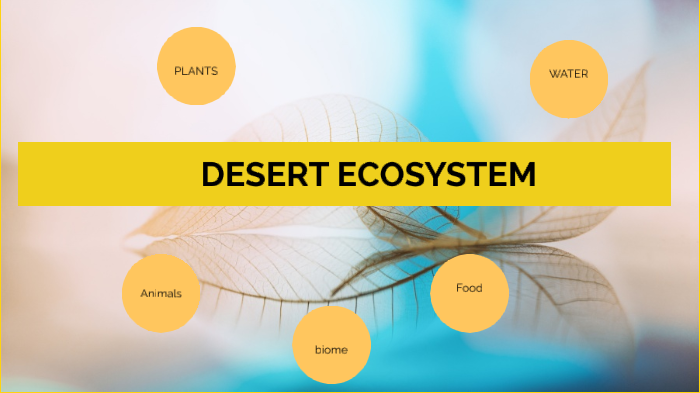 Sand ecosystem by Mason Barton on Prezi