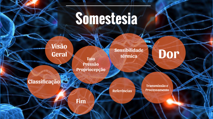 Somestesia by Franciele Morin on Prezi
