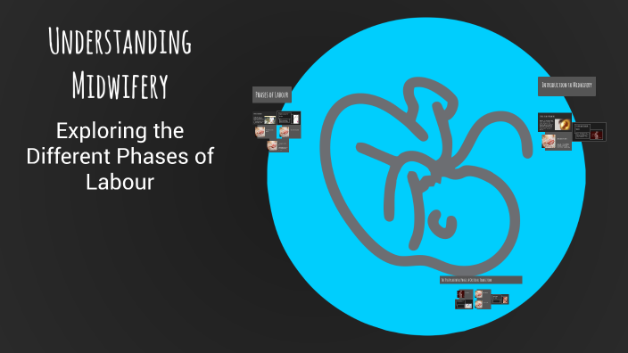 Understanding Midwifery by Alessia Salerno on Prezi