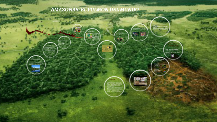 EL GRAN PULMÓN DEL MUNDO by elizabeth munera on Prezi