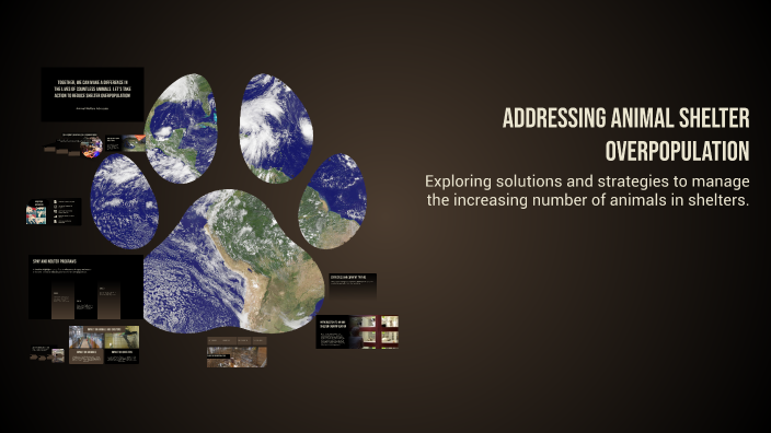 Addressing Animal Shelter Overpopulation by ethan flores on Prezi