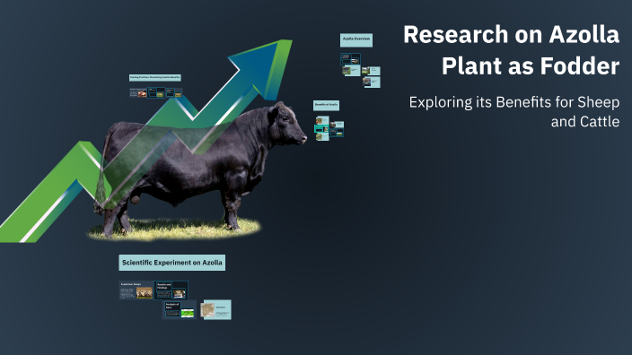 Research on Azolla Plant as Fodder by Hadjer Jiji on Prezi
