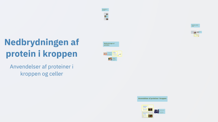 Nedbrydningen af protein i kroppen by SorryNoEscape on Prezi