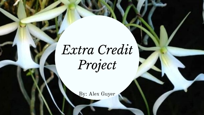 Extra Credit Project by Alex Guyer on Prezi