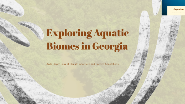 Exploring Aquatic Biomes in Georgia by raq baby on Prezi