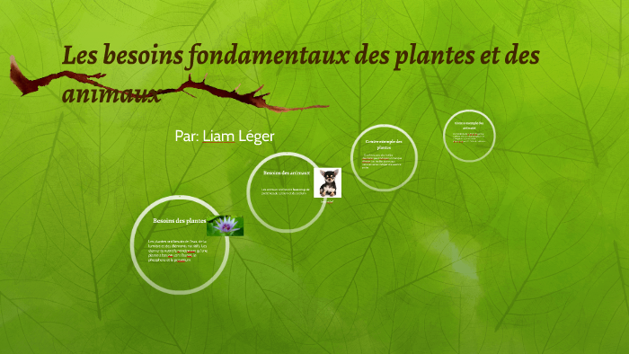 Les besoins fondamentaux des plantes et des animaux by Liam Léger on Prezi