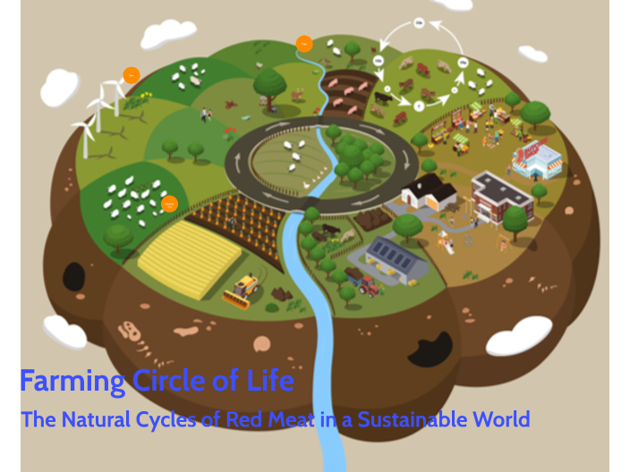 Farming Circle of Life by Jennifer Robertson on Prezi