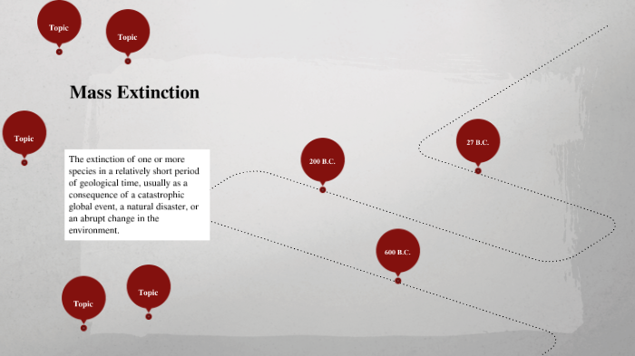 Geologic Time and Mass Extinctions by 1yungmarco