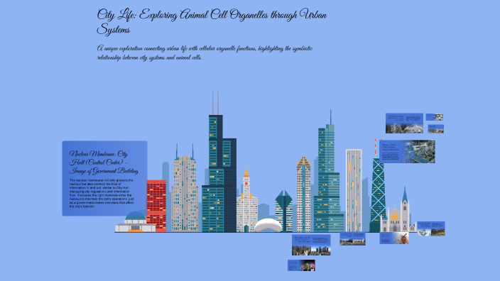 City Life: Exploring Animal Cell Organelles through Urban Systems by ...