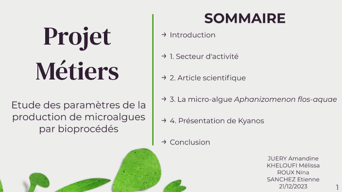 Projet TER by nina roux on Prezi