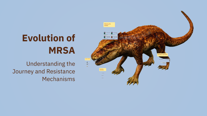 Evolution of MRSA by Emma Cowan on Prezi