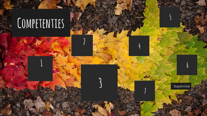 Supervisie by Brechje on Prezi