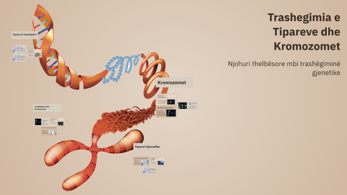 Trashegimia e Tipareve dhe Kromozomet by Anesa Lushtaku on Prezi