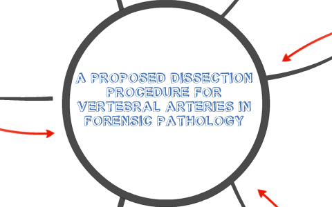 A Proposed Dissection Procedure for Vertebral Arteries in Forensic ...