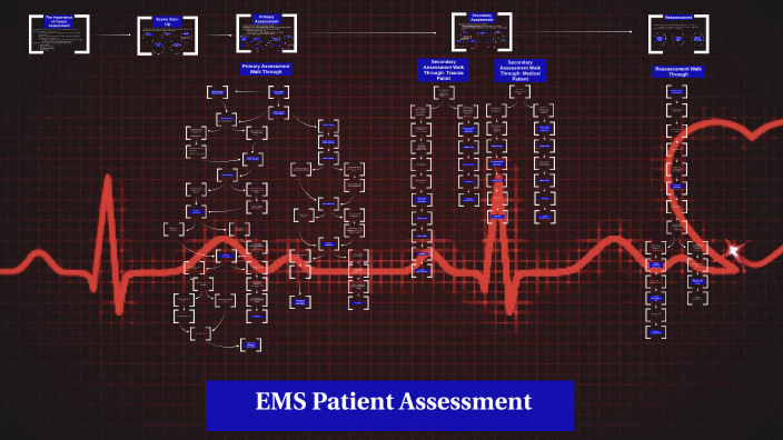 EMS Patient Assessment by Sierra Petree on Prezi