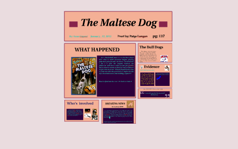 The Maltese Dog by Paige Langan