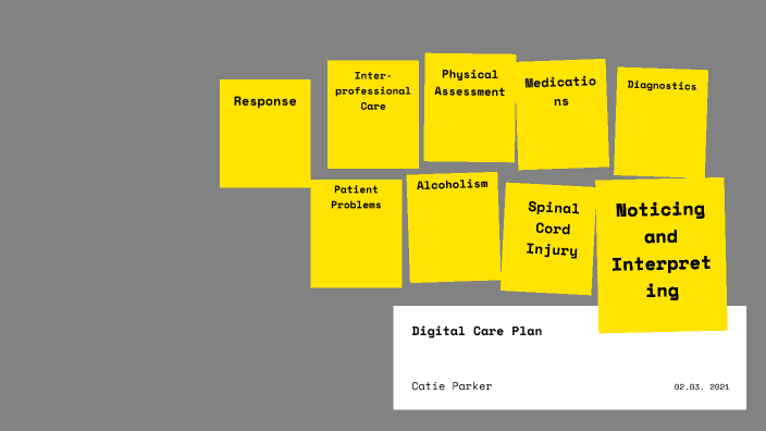 Digital Care Plan by Catie Parker on Prezi