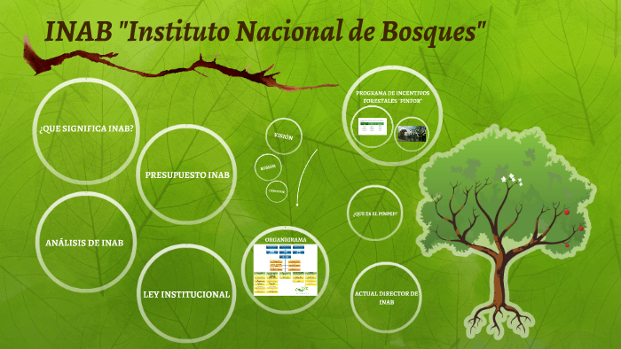 INAB "Instituto Nacional de Bosques" by Bryan Hipp on Prezi