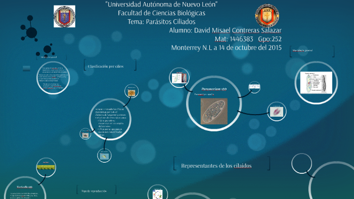 Ciliophora, cilióforos o ciliados by David Misael Contreras Salazar on ...