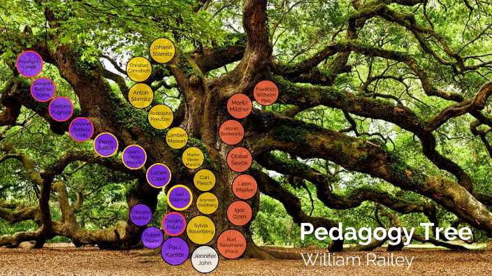Pedagogy Tree- William Railey by William Railey on Prezi