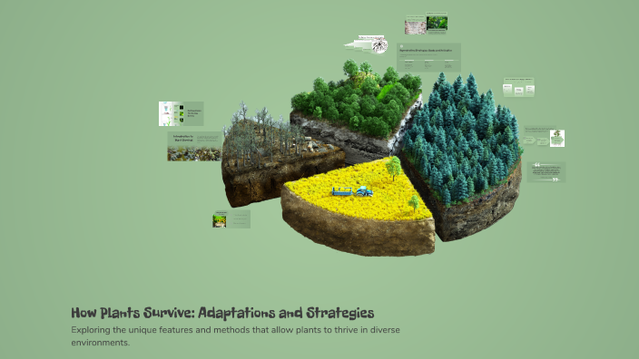 How Plants Survive: Adaptations and Strategies by Andrea P. Reyes on Prezi