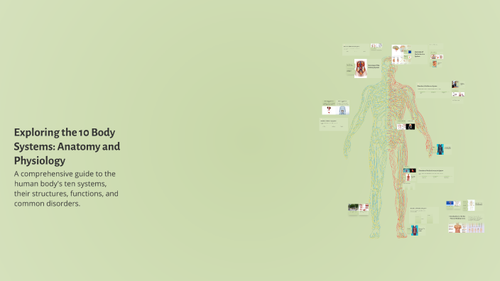 Exploring the 10 Body Systems: Anatomy and Physiology by leah on Prezi