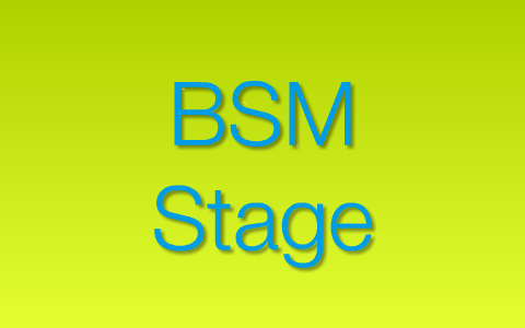 BSM stage by Lynn Penders on Prezi