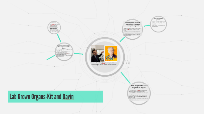 Lab Grown Organs by Kit Glover on Prezi
