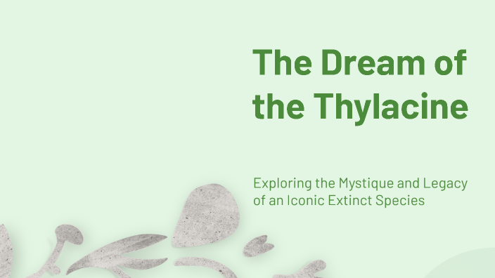 The Dream of the Thylacine by indi ridley on Prezi