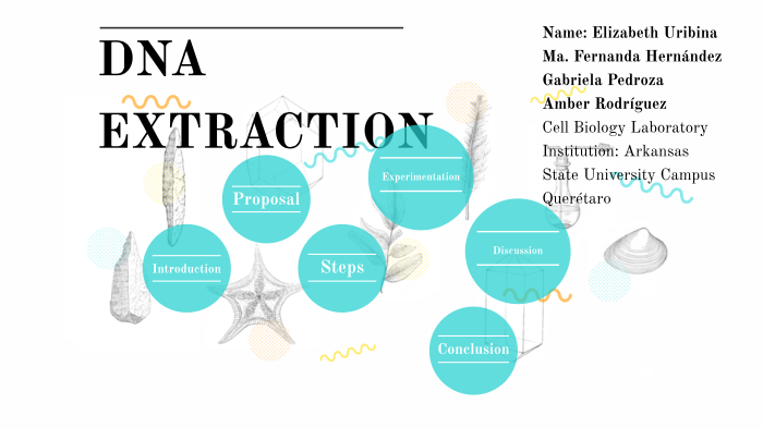 Liver DNA Extraction by gaby pedroza on Prezi