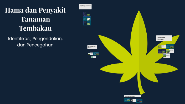 Hama dan Penyakit Tanaman Tembakau by Agnes Shita on Prezi